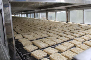 Unraveling the Intricate Production Process of Instant Noodles: From ...